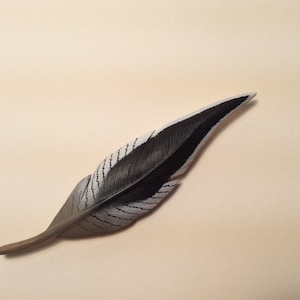 Hand Carved Pintail Drake Feather With Magnet - Etsy