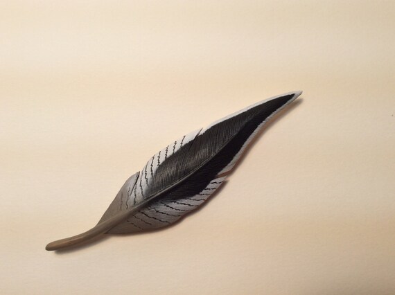 Hand Carved Pintail Drake Feather With Magnet | Etsy