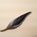 Hand Carved Pintail Drake Feather With Magnet - Etsy