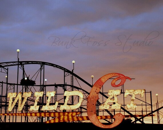 Items similar to WILD CAT 8x10 Fine Art Print, 8 x 10 RECTANGLE, Bunk ...