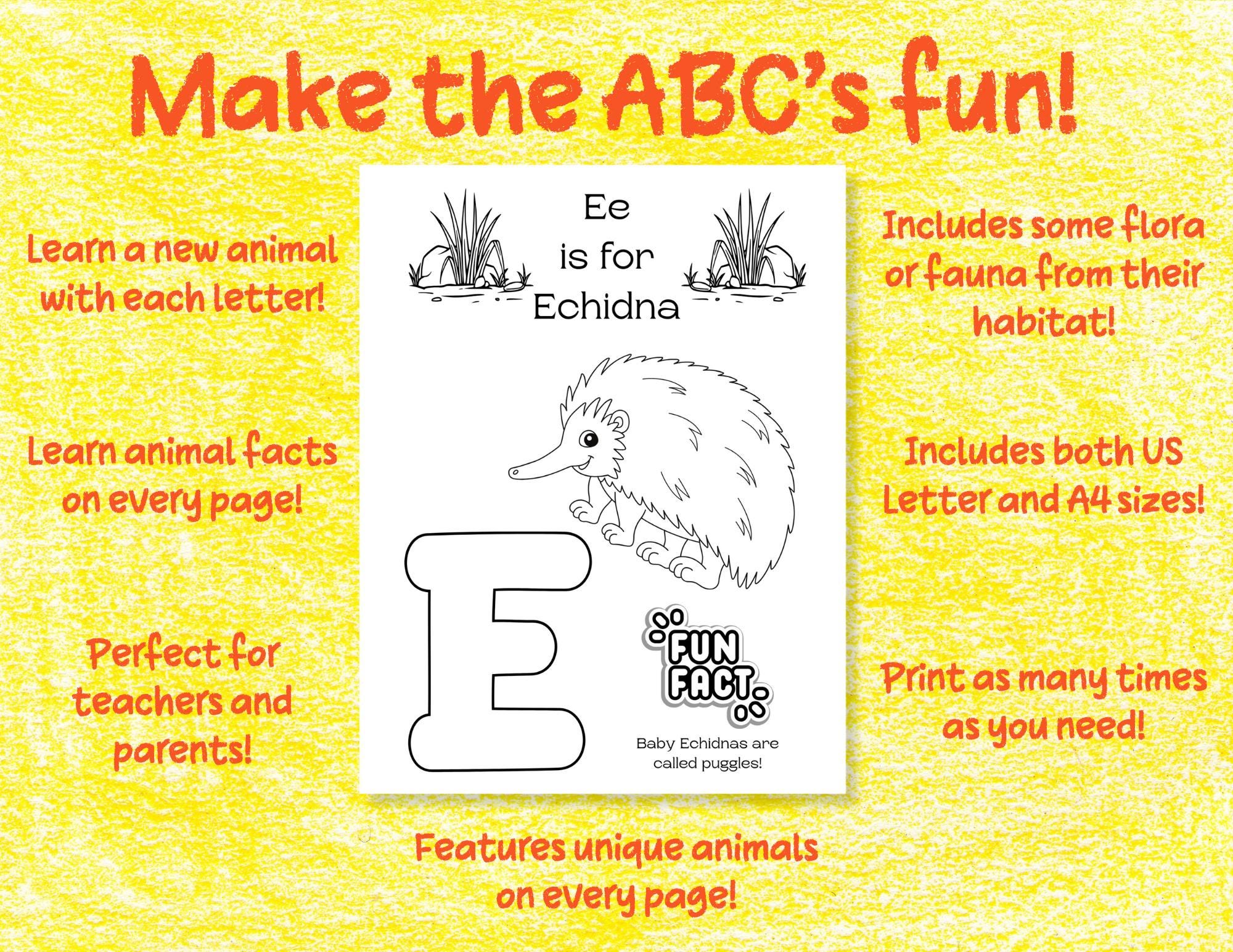 Printable ABC Animal Coloring Pages: Preschool Classroom Worksheet (PDF ...