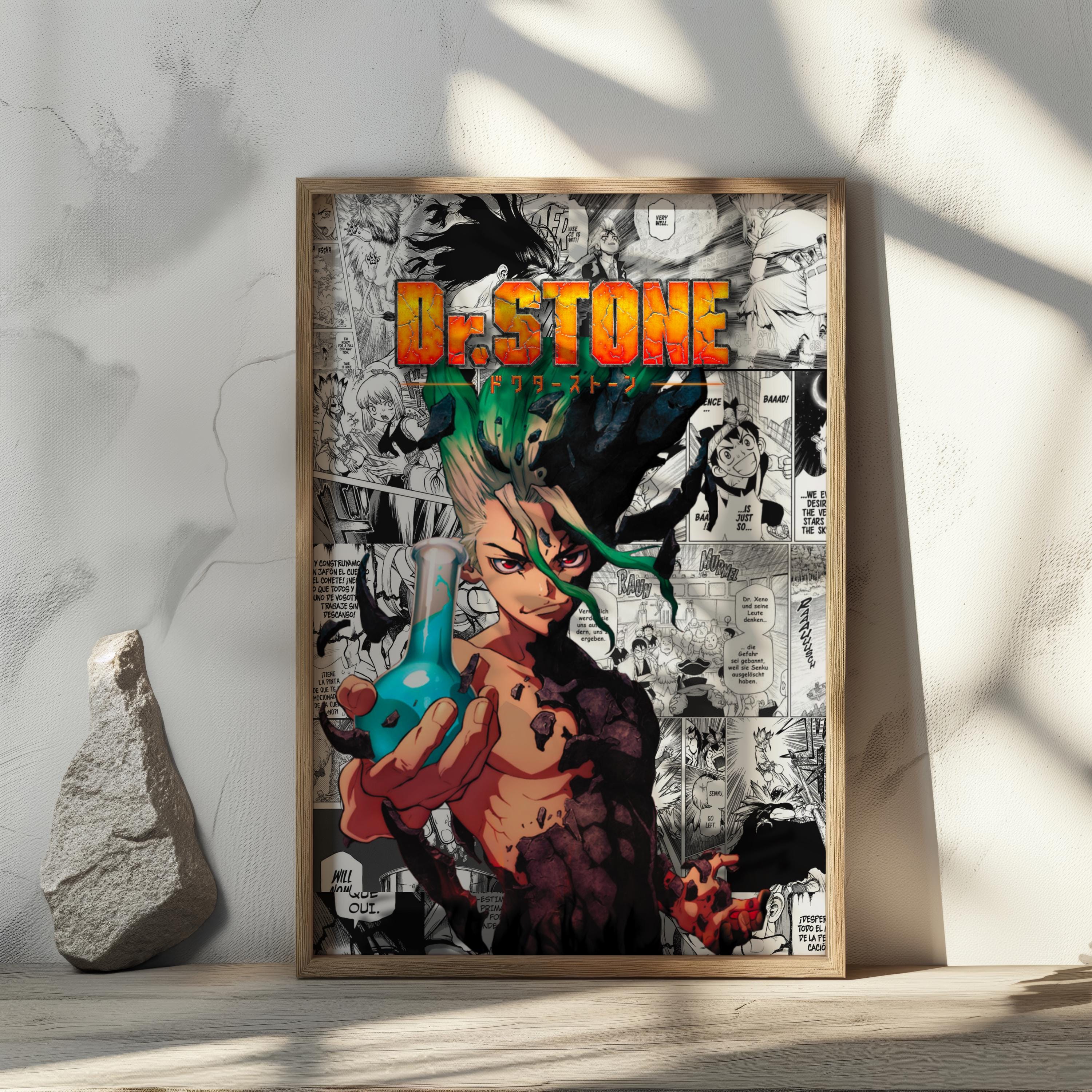 Dr. Stone Manga Poster - Senku Ishigami - Curated Manga Panels ...