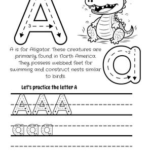 My Alphabet Animal Adventure Coloring Book - Etsy