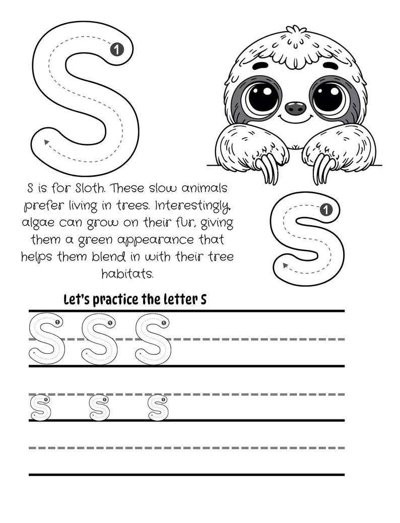 My Alphabet Animal Adventure Coloring Book - Etsy