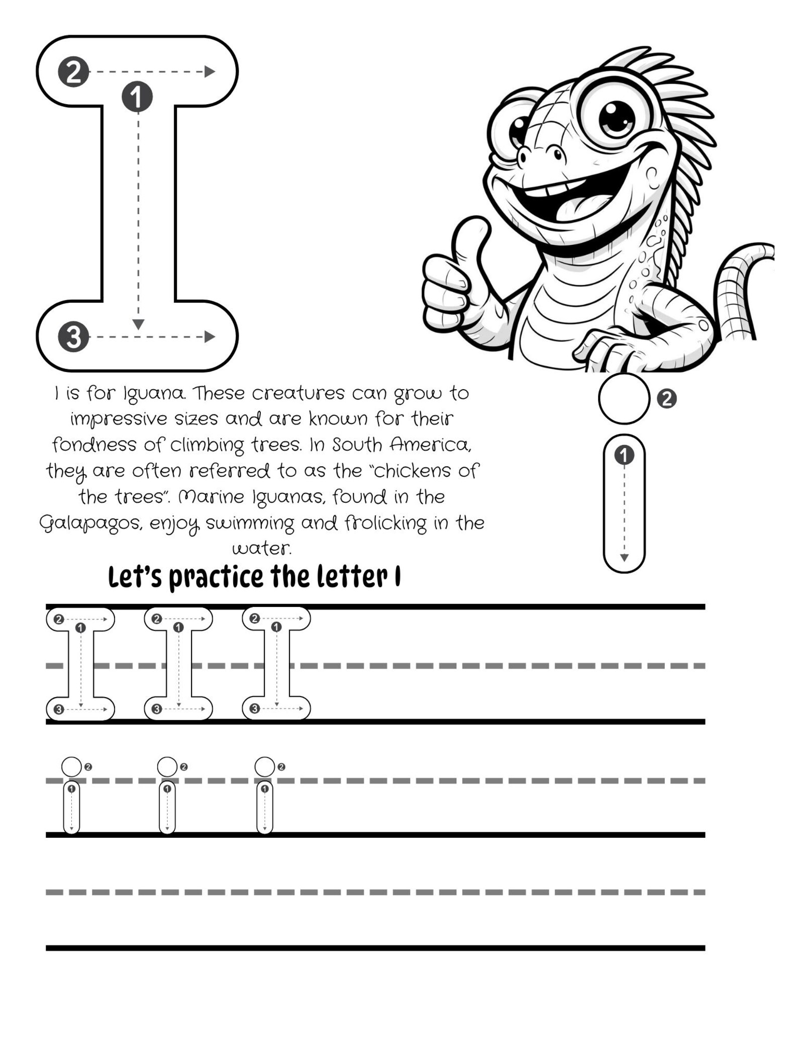 My Alphabet Animal Adventure Coloring Book - Etsy