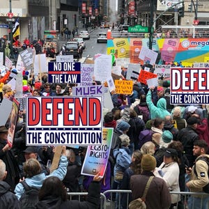 2 Defend the Constitution Protest Posters, Printable Signs ...