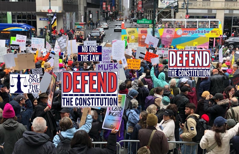 2 Defend the Constitution Protest Posters: Patriotic Printable Signs ...