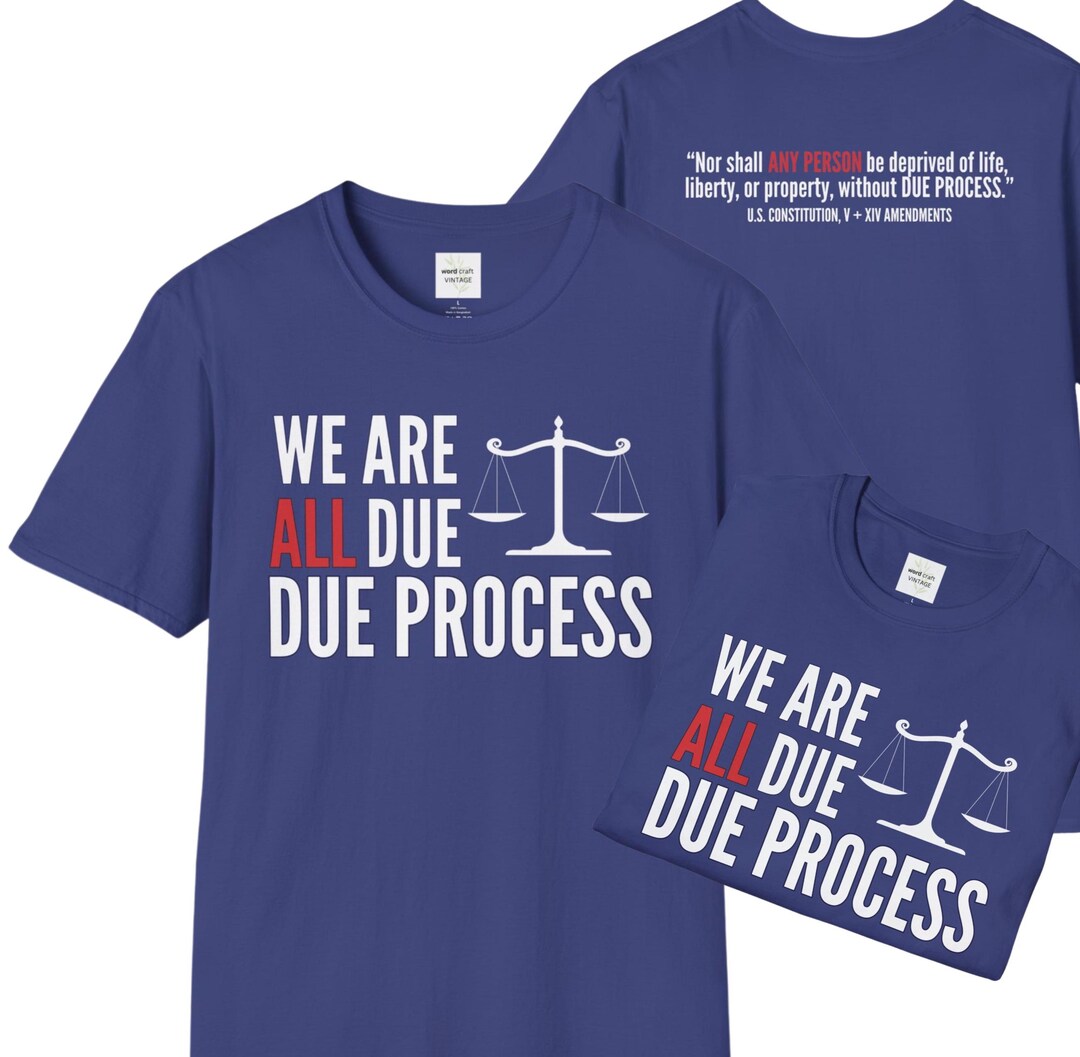 DUE PROCESS 5th/14th Amendments Protest Unisex T-shirt, Constitutional ...
