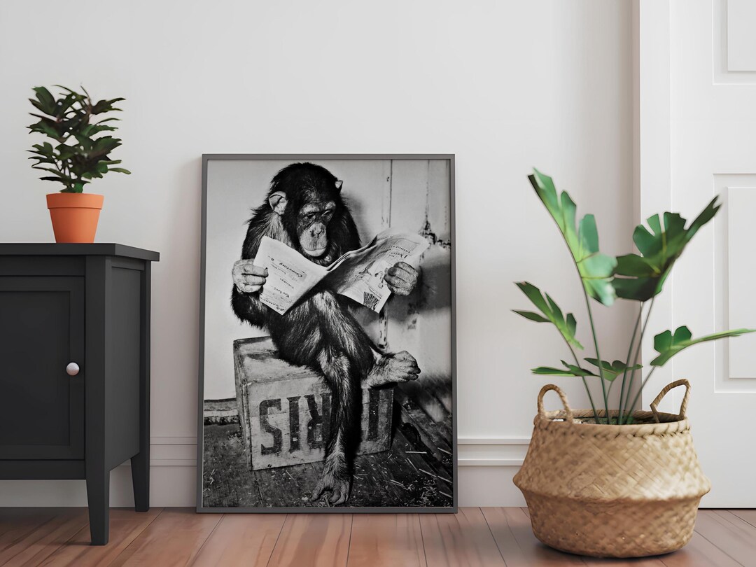 Chimpanzee Reading Newspaper Poster Black and White Art Vintage Wall ...