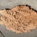 3D Topographic Map of High Peaks Region, Adirondack Mountains, NY - Etsy