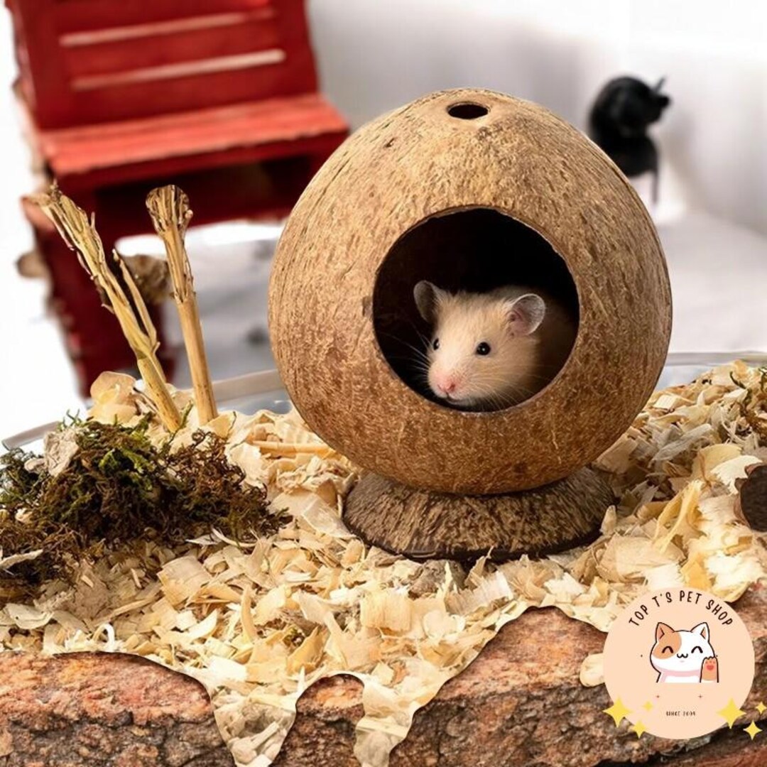 Handmade Wooden Hamster Hideout Bite-resistant Pet-friendyl Cozy ...