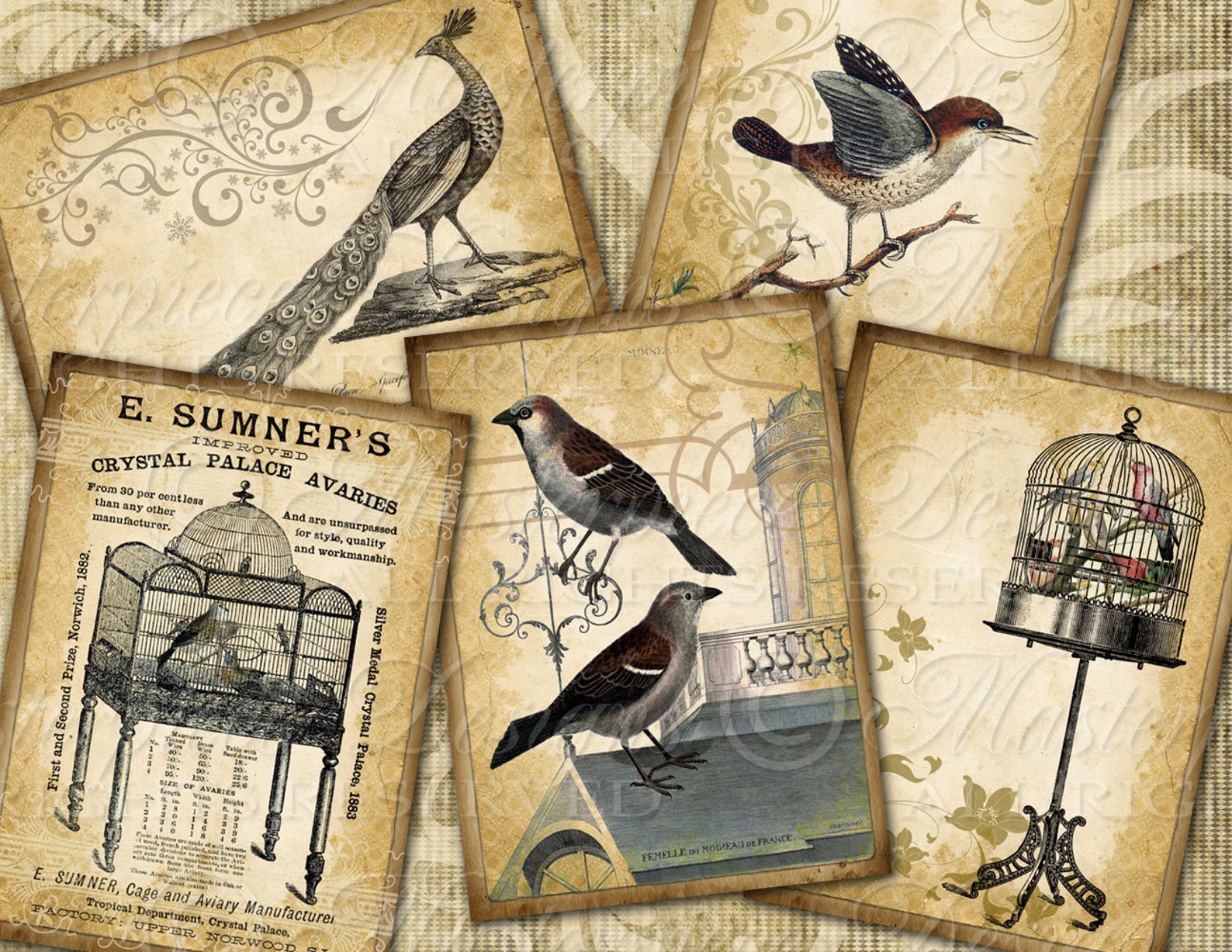 Aviary Ornate Printable Hang Tags / Birds / Birdcage / Peacock | Etsy