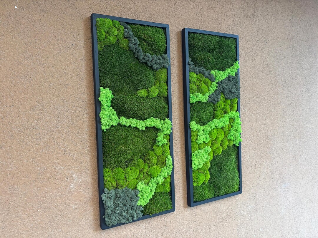 Large Moss Wall Art in a Frame Crafted From Pine Wood Decor - Etsy