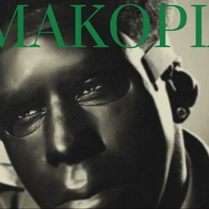 Personalized Tyler, the Creator Chromakopia Tour Concert Ticket - Etsy