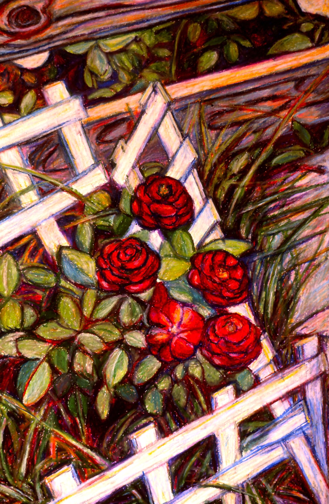 Rose Start Oil Pastel Painting: 31" X 20" Floral Art by Kendall F ...