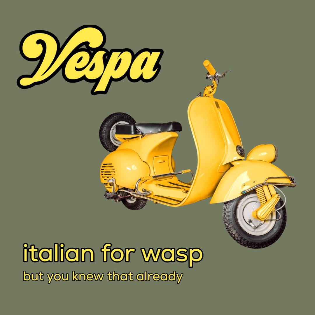 Vespa Italian for Wasp Unisex Classic Tee - Etsy