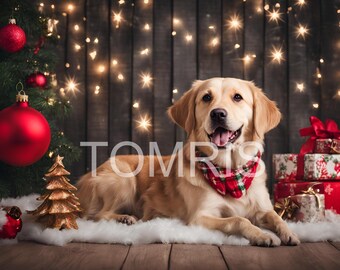Christmas Pet Photoshoot Backgorund,animal Photoshoot, Cat, Dog, Baby ...