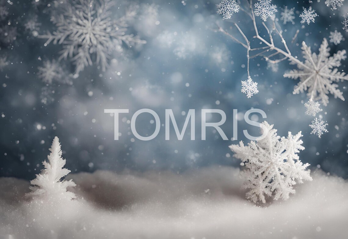 Winter Themed Baby Digital Backdrop, Photoshop Background,studio ...