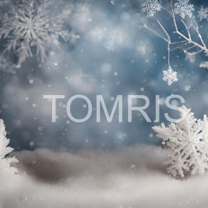 Winter Themed Baby Digital Backdrop, Photoshop Background,studio ...