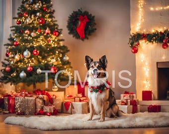 Christmas Pet Photoshoot Backgorund,animal Photoshoot, Cat, Dog, Baby ...