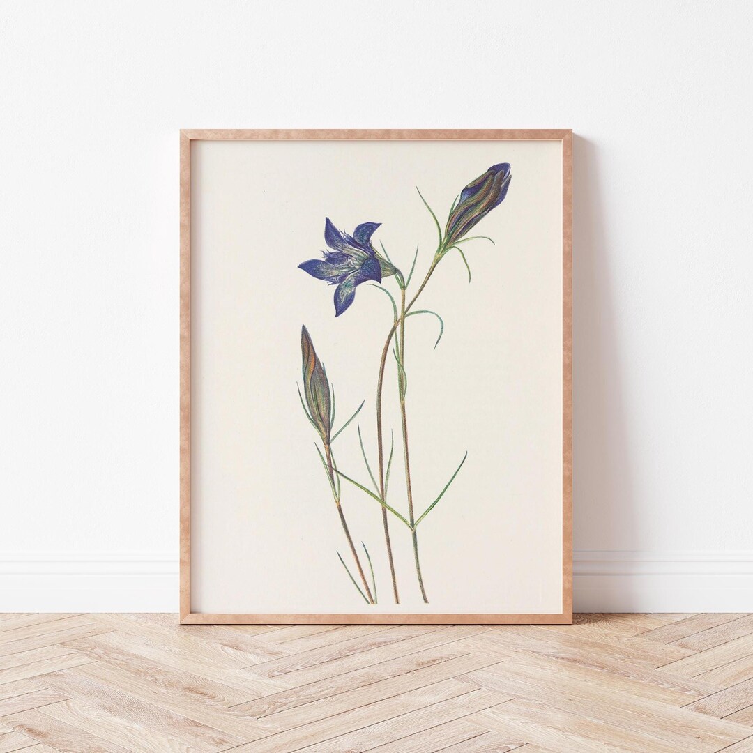 Vintage Bluebell Print: Wildflower Botanical Watercolor (digital ...