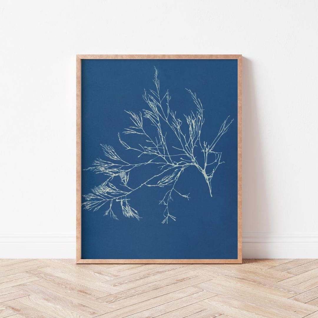Cyanotype Botanical Art Print | Botanical Blue Poster Wall Art ...