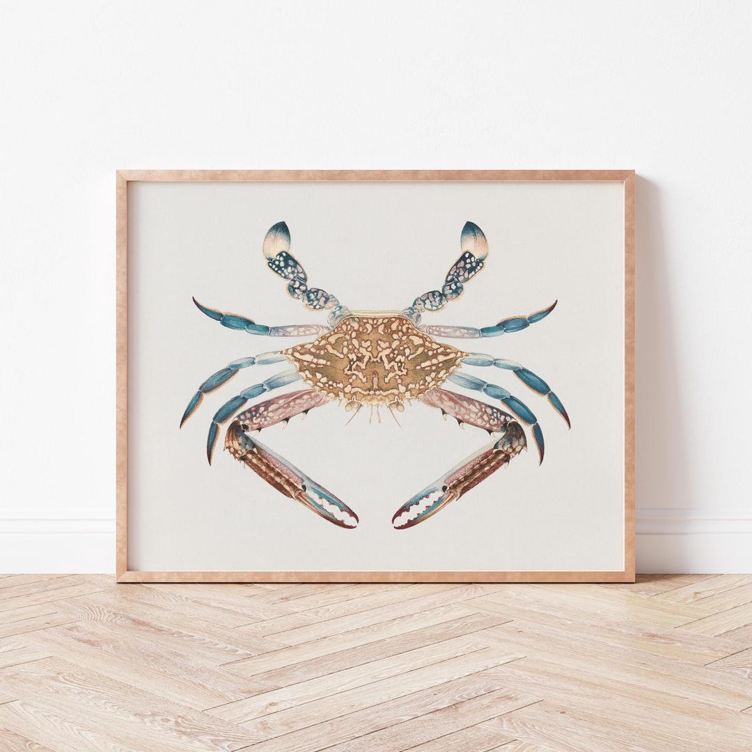 Coastal Blue Crab Illustration | Digital Print Art | Soft Neutral Tones ...