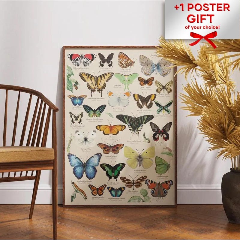 Butterfly Poster - Etsy