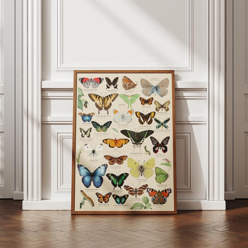 Butterfly Poster - Etsy
