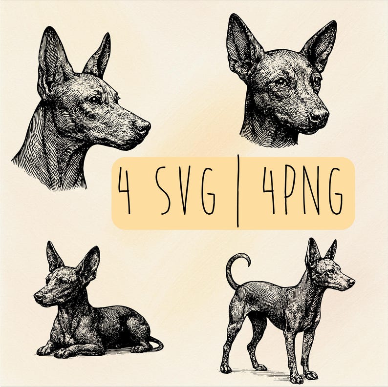 Cute Xoloitzcuintli SVG & PNG Bundle – Mexican Hairless Dog Clipart ...