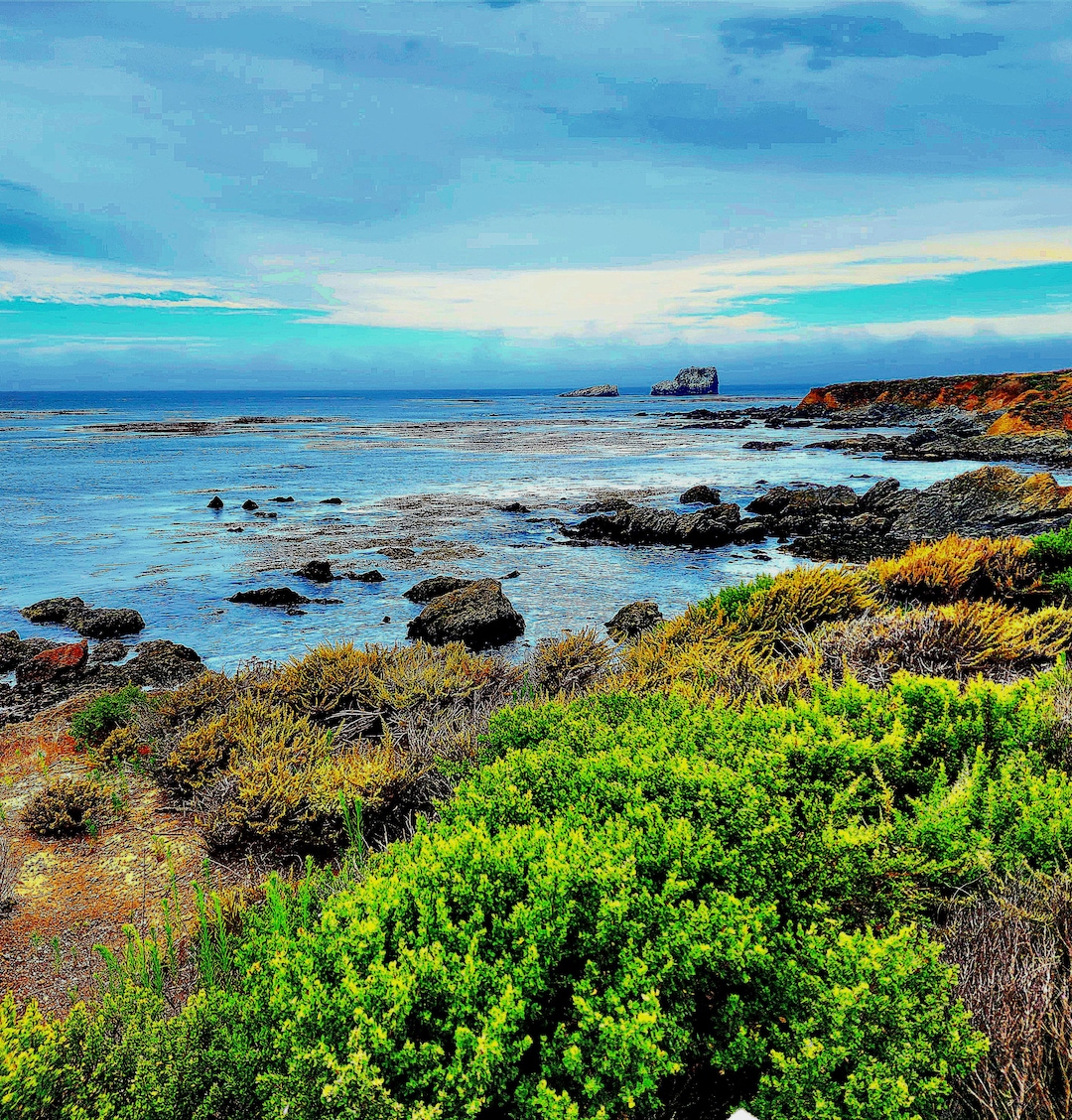 CA Central Coast Ocean View W/ Native Shoreline Planting - Etsy
