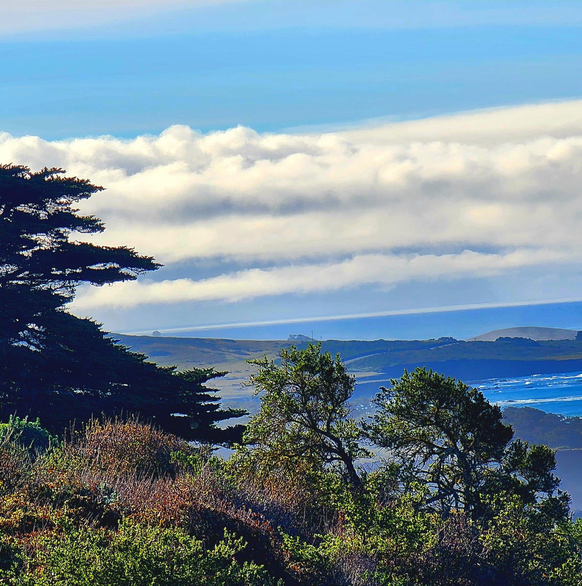 CA Central Coast Ocean View Ragged Point South - Etsy