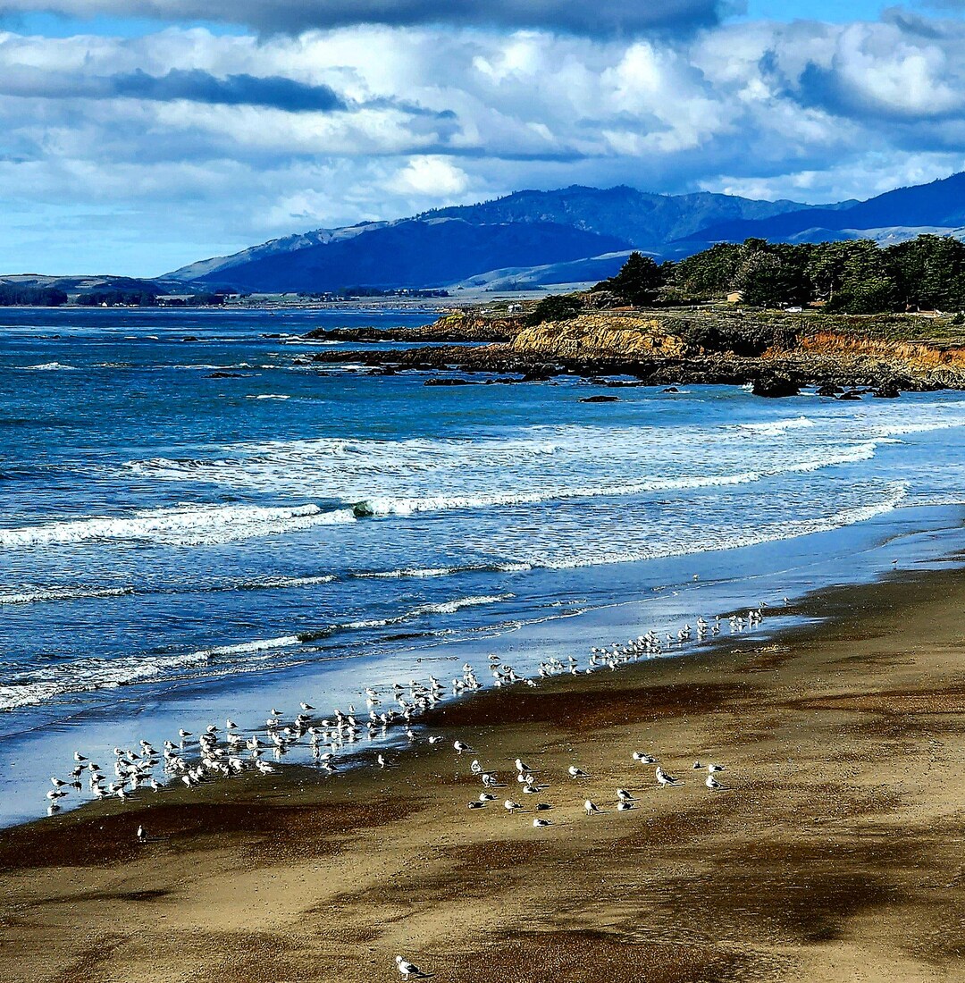 CA Central Coast Ocean North View - Etsy