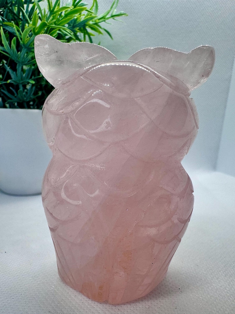 Natural Crystal Rose Quartz Adorable Owl Carving - Etsy