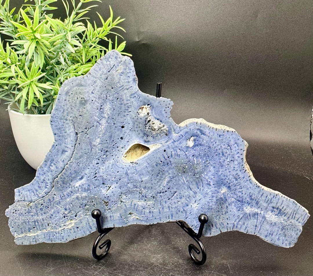 Natural Crystal Blue Ridge Coral Slab 7”x4.7”, 241.8 Grams - Etsy