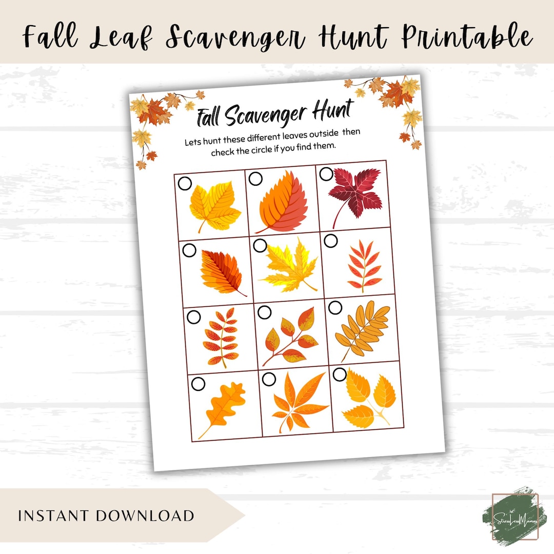 Fall Scavenger Hunt for Kids Printable, Identify Leaves, Fall Leaf Hunt ...