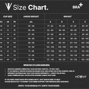 Floral Embroidered Sexy Lingerie Set - Push up Bra and Strappy Panty ...