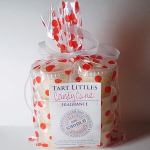 6 Assorted Soy Wax TART LITTLES Ready to Ship - Etsy