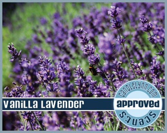 VANILLA LAVENDER Clam Shell Package Tarts Break Apart | Etsy