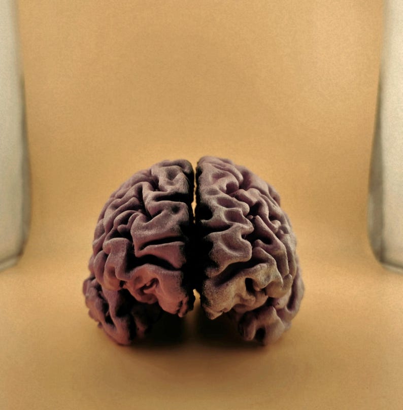 Custom MRI Brain Model Personalized Anatomical Gift for Doctor, Medical ...