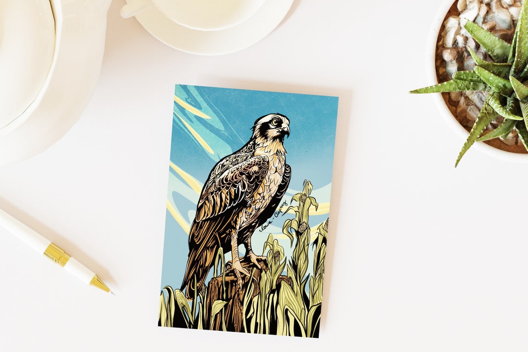 Iowa Osprey Postcards - 50 States Series / Mnjohn Wildlife of the US ...