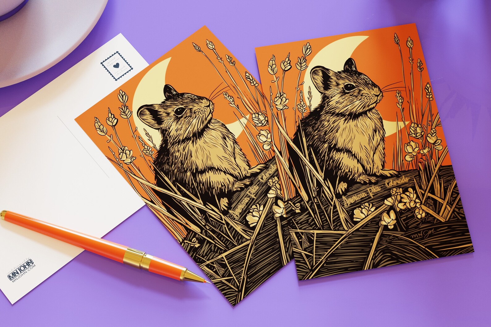 Colorado Pika Postcards - 50 States Series / Mnjohn Wildlife of the US ...