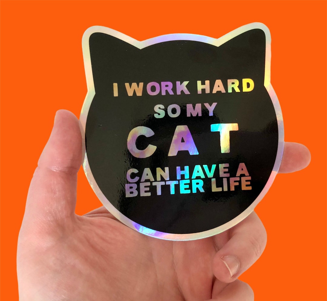 Sticker for Cat Lover Funny Vinyl Cat Sticker Shiny Sticker - Etsy