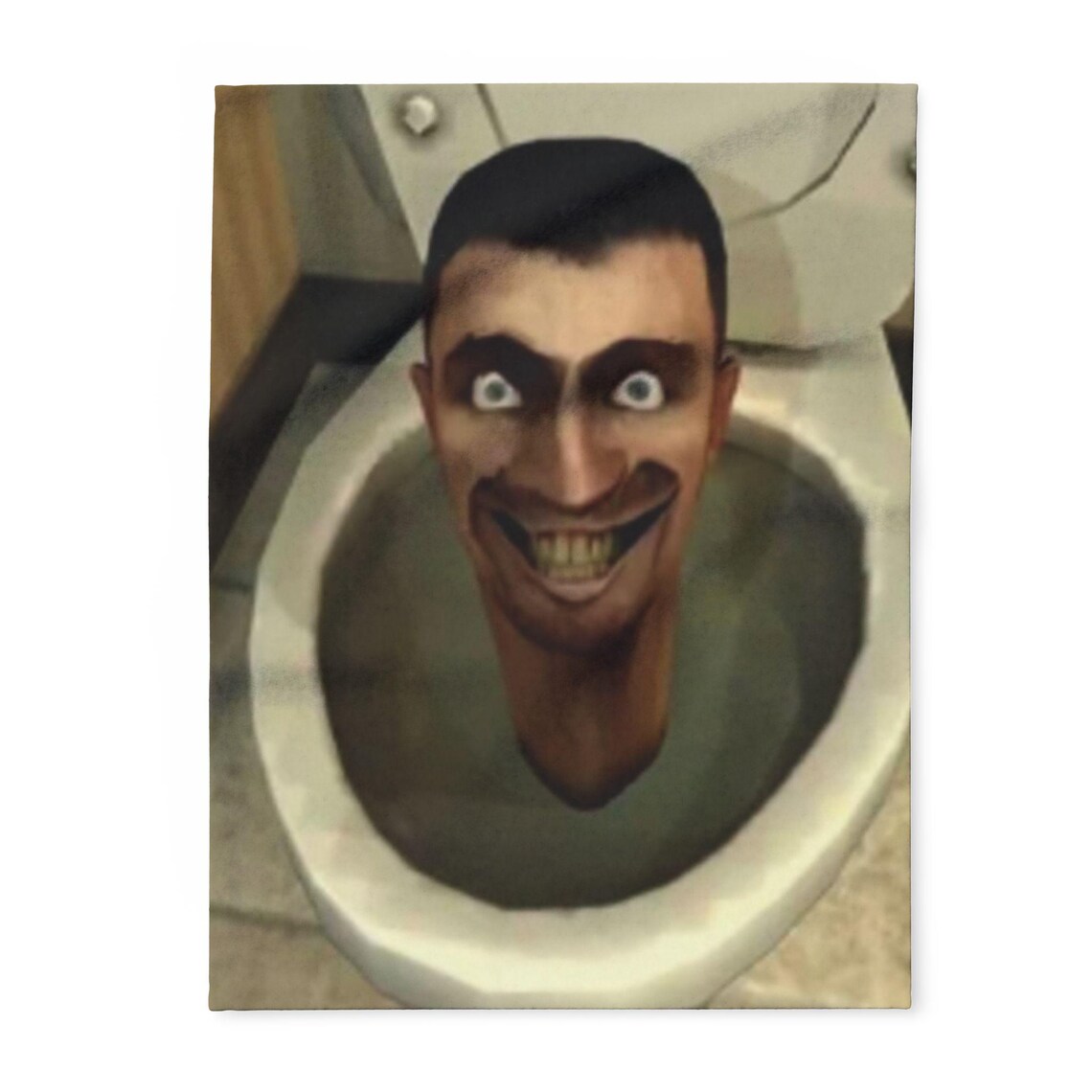 Fleece Blanket, Skibidi Toilet Design, Winter Home Decor, Cozy Throw ...