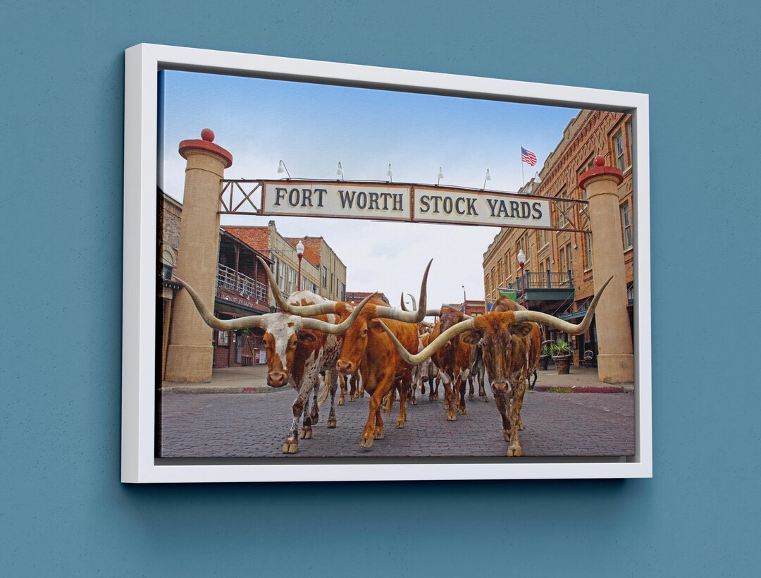Fort Worth Stock Yards Art, Texas Bulls Longhorn, Huge Canvas Wall Art ...