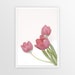 Perfect Love Tulip Wall Art Print Floral Photographic Wall Art Print ...