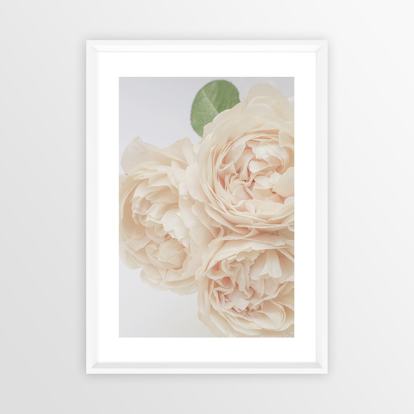 Unforgettable Rose Photographic Wall Art Print Rose Art Print Bedroom ...