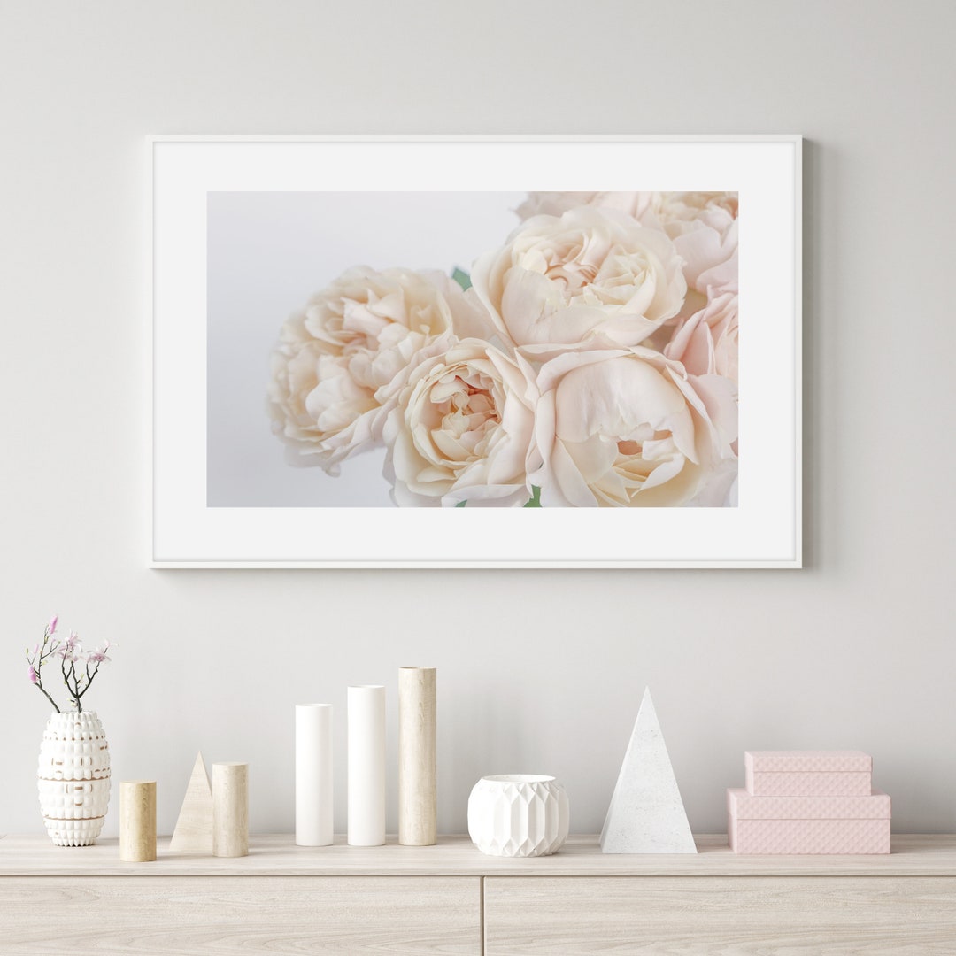 La Belle Rose Photographic Wall Art Print | Rose Art Print | Bedroom ...