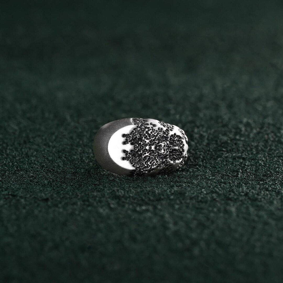 Meteorite Texture Silver Signet Ring, Brutalist Style Mens Ring - Etsy