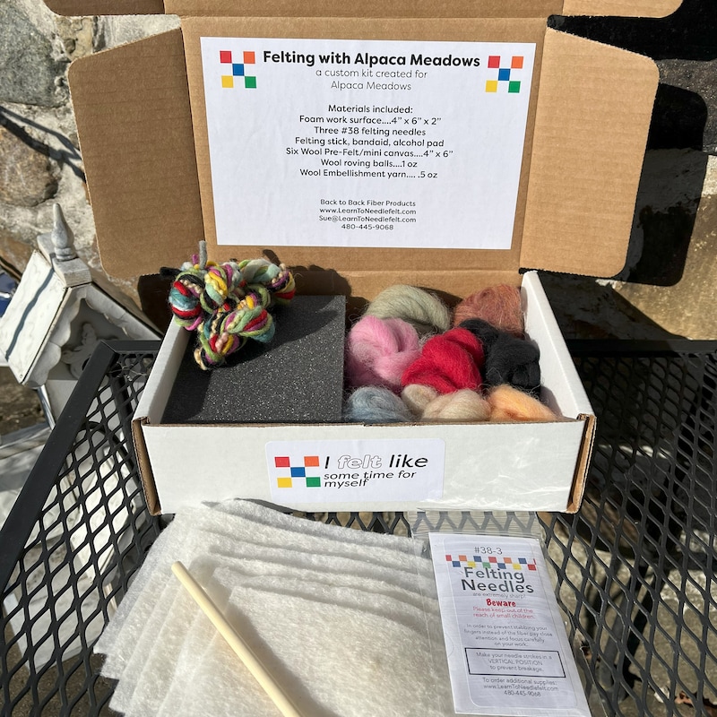 Beginner Felting Kit - Etsy